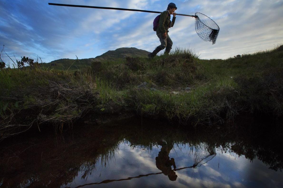 Deer reveal nature’s secrets across half a century - Edinburgh Impact