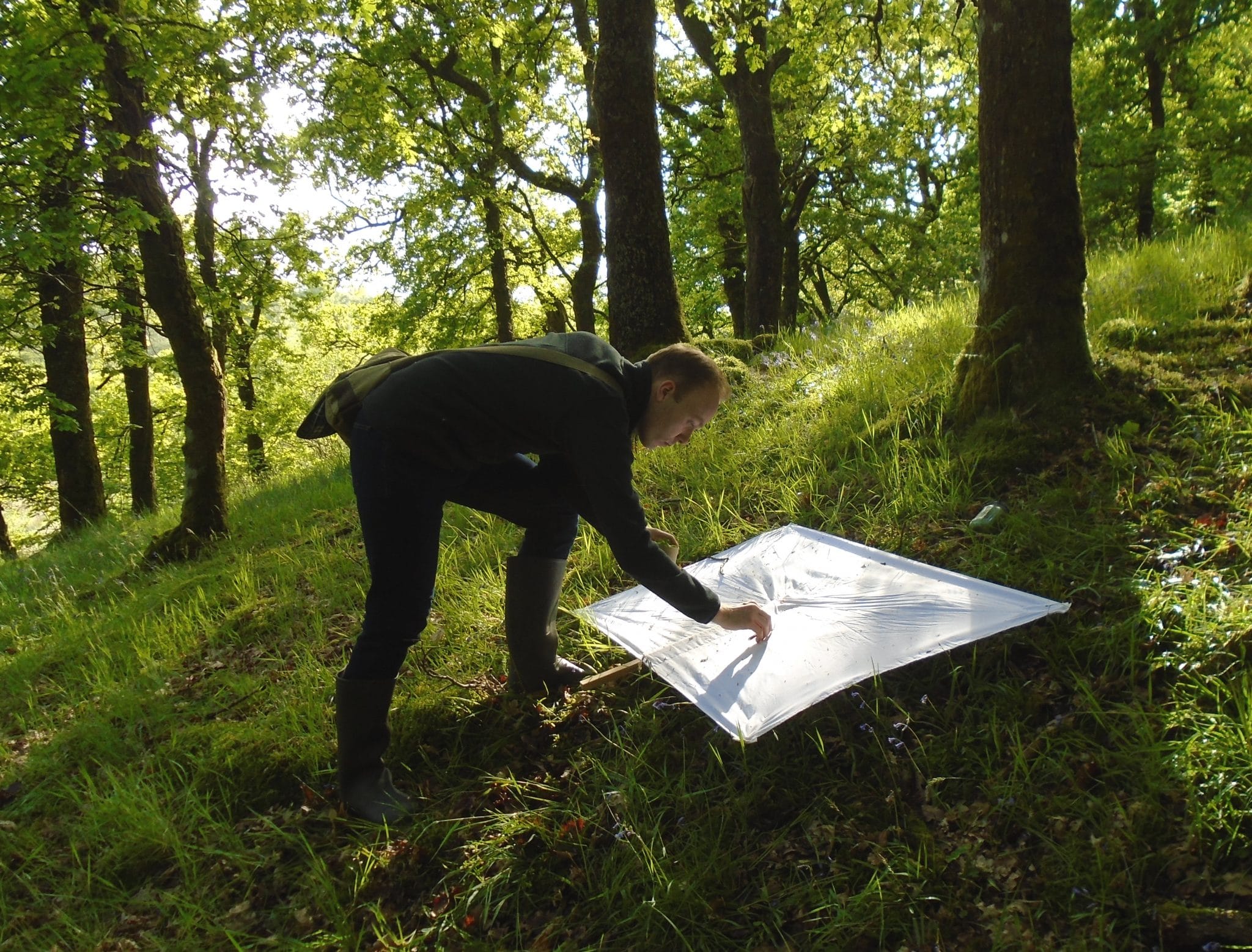 Species respond to challenge of shifting seasons - Edinburgh Impact